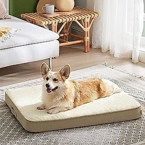 Lesure Orthopedic Dog Beds for Medium Dogs - Egg Crate Foam Puppy Bed with Ultra Soft Sherpa Surface&Removable Cover, Machine Washable Waterproof Dog Bed with Non-Slip Bottom(Curds&Whey,30x20x3inch)