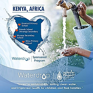 Waterdrop WD-G2P600-RO Filter, Replacement for WD-G2P600-W Reverse Osmosis System, 2-year Lifetime, Reduce PFAS