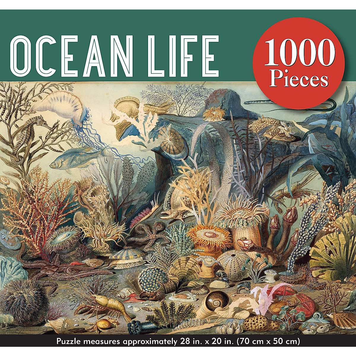 PETER PAUPER PRESS, Inc. Ocean Life 1000 Piece Jigsaw Puzzle
