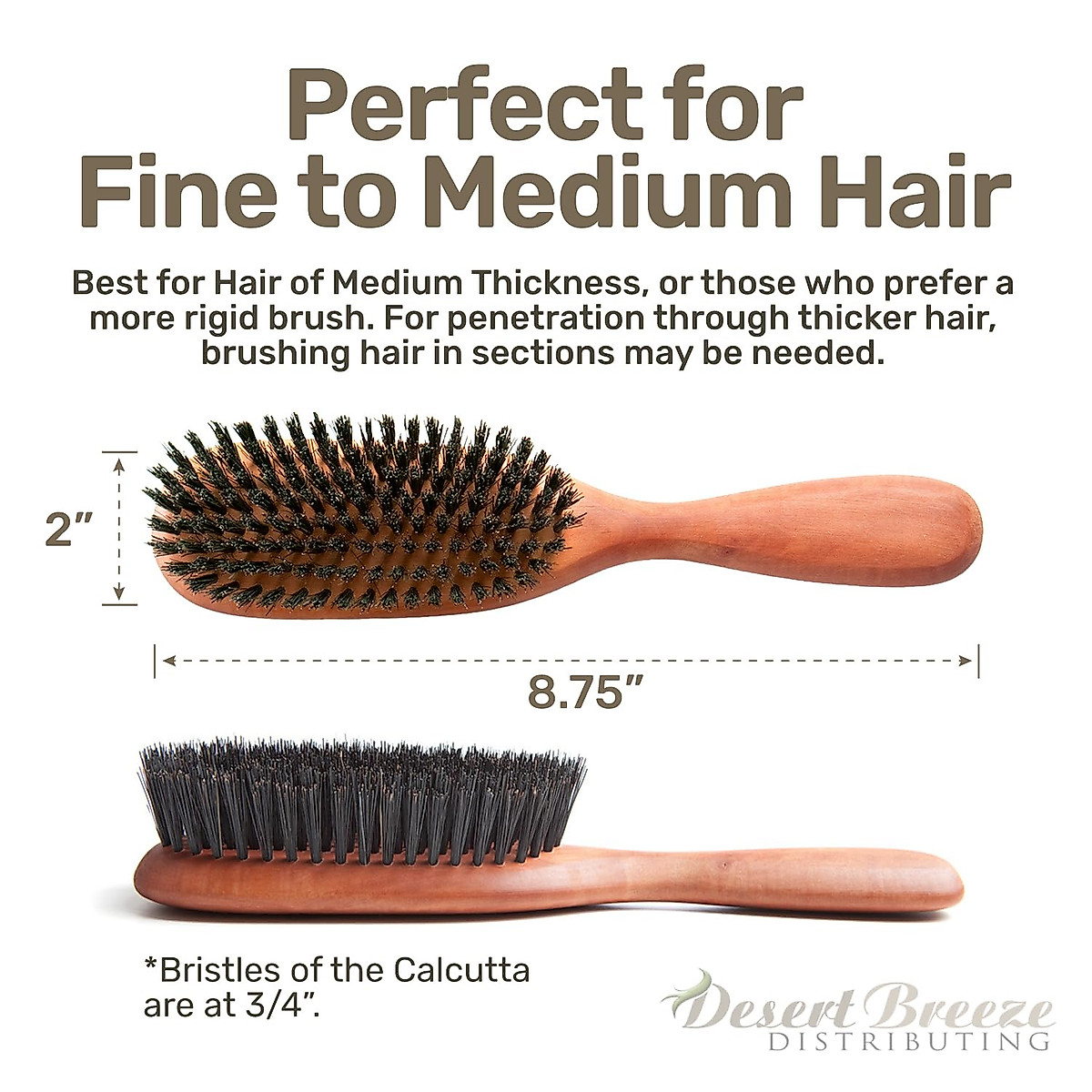 100% Pure Calcutta Boar Bristle Hairbrush for Natural Healthy Hair, Stiff Bristle, Made in Germany's Black Forest