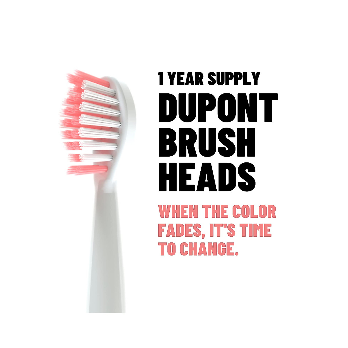 SonicPower Electric Toothbrush Kit, Ultra Portable & Lightweight with 5 Cleaning Modes, 1 Year Supply of Brush Heads, Rechargeable Battery, Mirror Mount & Travel Cap Included, 4 Color Options