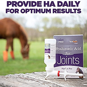 Hyalogic Hyaluronic Acid for Horses 90 Day Supply - 9oz - Easy Oral Tip Dispenser - Liquid HA Supplement for Equine Joints and Cartilage Support - Hyalun Pro - 9 oz / 296ml