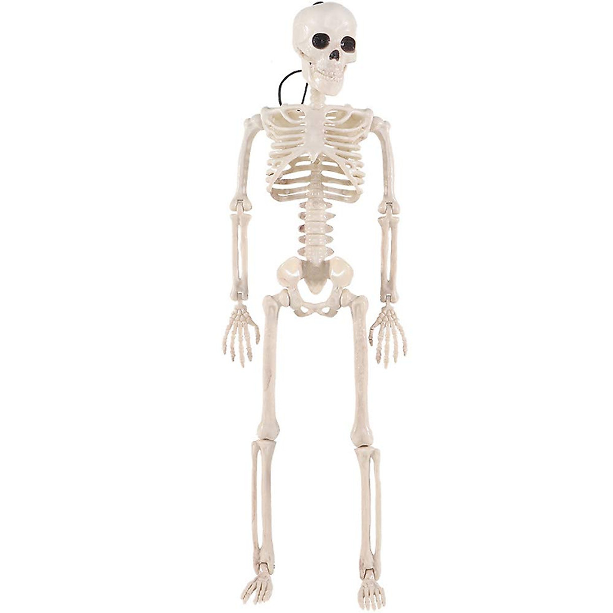 Oun Nana Halloween Posable Skeleton 16” Full Body Plastic Halloween Skeletons with Movable Joints, Mini Poseable Skeleton Toy for Halloween Party Decorations