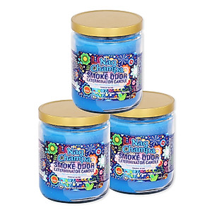 Smoke Odor Exterminator 13 oz Jar Candles Nag Champa, (3)