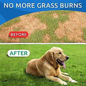 Glucosamine Dog Treats + Grass Treatment for Dog Urine Bundle - Hip Support and Joint Pain Relief Supplement w/ Chondroitin, MSM, Omega-3 + Pee Lawn Repair w Probiotics - Dog Urine Neutralizer