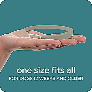 Sergeant's Guardian Pro Flea & Tick Collar for Dogs, Kills Fleas & Ticks, Long Lasting Protection for 6 Months, Fresh Scent, One Size Fits All, 1 Collar