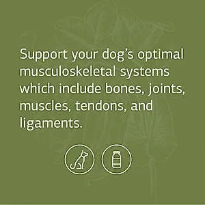 Standard Process Canine Musculoskeletal Support - Bone & Joint Health Formula for Pets - Canine Musculoskeletal Support Supplement - Supplement for Dogs to Aid Joint Comfort & Muscle Health - 120 g