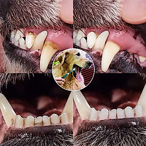 Tezam Dog Toothbrush Finger Set, Canine Toothbrush Kit for Dental Care with 3 Silicone Finger Brush - 3 Sided Pet Tooth Brush for Dogs and Cats Teeth Cleaning