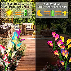 Arrozon Solar Garden Lights Outdoor Garden Decorative with 16 Calla Lily Flowers, Solar Flowers Lights Outdoor Garden Waterproof IP65 for Garden, Pathway, Patio, Yard, Porch, Backyard, 4 Pack