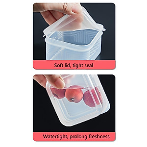 RabyLeo Japanese-style refrigerator storage box one person eats frozen meat sub-compartment box frozen fresh-keeping food sauce sealed sub-package box. (Transparent & Small 4-Piece Set)