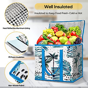 BALEINE 2Pk Insulated Reusable Grocery Bags, Collapsible Cooler Bag for Groceries, Heavy Duty Large Insulated Bag (Island Breeze)