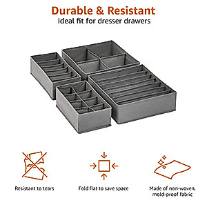 Amazon Basics Dresser Drawer Storage Organizer for Undergarments, Set of 4 - Gray