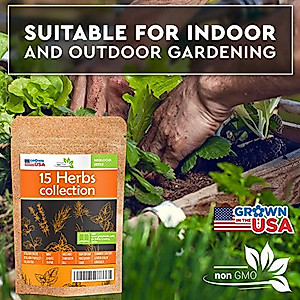 15 Culinary Herb Seeds Pack - Heirloom and Non GMO, Grown in USA - Indoor or Outdoor Garden - Basil, Parsley, Dill, Cilantro, Rosemary, Mint, Thyme, Oregano, Tarragon, Chives, Sage, Arugula & More