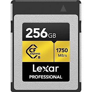 Lexar 256GB Professional CFexpress Type B Memory Card GOLD Series, Up To 1750MB/s Read, Raw 8K Video Recording, Supports PCIe 3.0 and NVMe (LCXEXPR256G-RNENG)