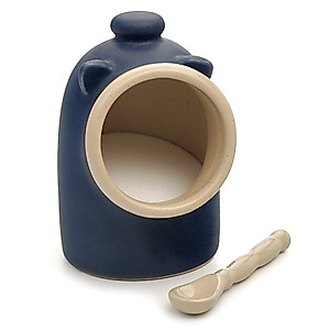 RSVP International Stoneware Salt Pig and Spoon Set, Wide Mouth, Dishwasher Safe, 3x3.25x5", Blue