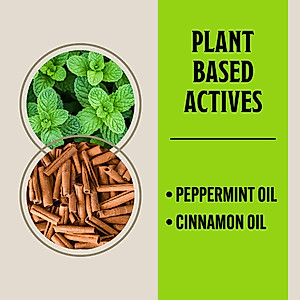 Grandpa Gus's Extra-Strength Mouse Repellent Pouches + Rodent Repellent Spray, Peppermint/Cinnamon, Home/RV, Boat/Car Storage & Machinery, 4 x 1.75 oz Pouches + 1 x 8 oz Spray