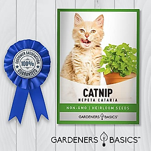 Gardeners Basics Catnip Seeds for Planting is A Heirloom, Non-GMO Herb Variety- Nepeta Cataria Herb Seeds Great for Indoor and Outdoor Gardening and Cats