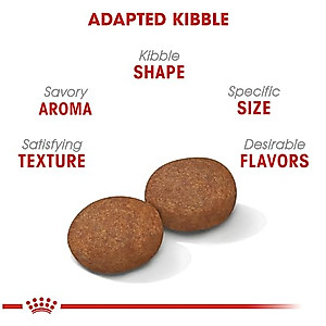 Royal Canin Size Health Nutrition Medium Adult 7+- Dry Dog Food, 30lb Bag