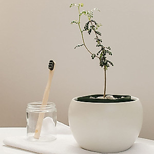 Gongi Wooden Bamboo Toothbrush - 20,000 High Bristle Count Toothbrush - Micro-Nano Extra Soft Bristles - 4-Pack