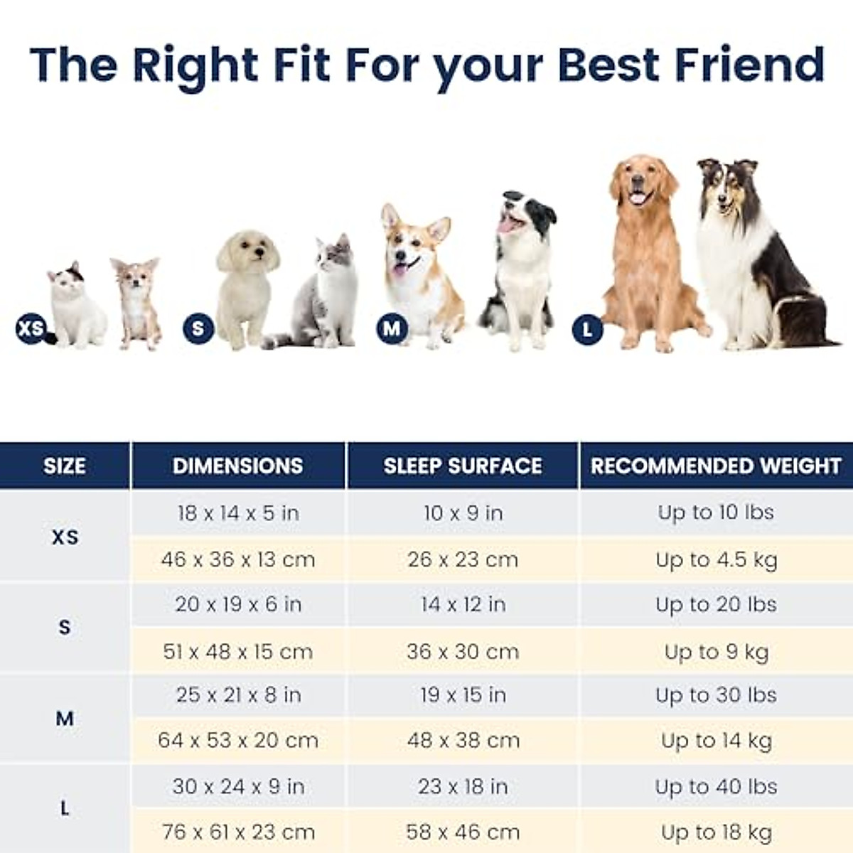 Miguel Washable Cat Beds for Indoor Cats with Removable Cushion, Easy to Wash Small Pet Sofa Bed with Side, Rectangle Bolster Kitten Bed Calming Cuddle Puppy Bed with Anti-Slip Bottom, Blue 18 Inch