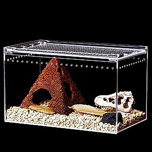 REMASIKO Magnetic Acrylic Case, 12" x 8" x 6" Enclosure Flat Long Reptile Breeding Box Terrarium Cage for Scorpion Sling Isopods Lizards Invertebrates Insects Mantis
