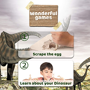 DOTSOG Easter Eggs Gifts for Kids,Dino Fossil Dig Kit,12 Pack Dinosaur Toys for Kids Open Unique Large Surprise Dinosaur Filled Fossil Archaeology Preschool Educational Science for Children & Adult