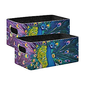 Emelivor Watercolor Peacock Storage Basket Bins Set (2pcs) Felt Collapsible Storage Bins with Fabric Rectangle Baskets for Organizing for Laundry Room Organization