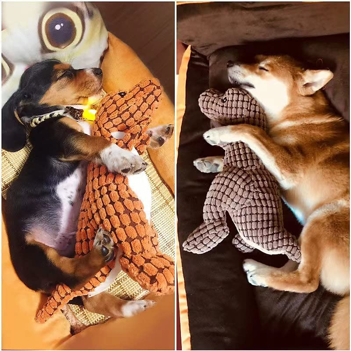 Dog Pet Chew Toys Plush Chewing Toy, Aggressive Chewers Durable Molars Training Toy, Resistant Cute Dinosaur Shape Pet Stuffed Toy for Teeth Grinding,Built-in air Pressure Sound Device