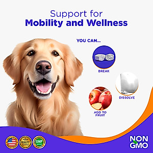 Supplement Anti Inflammatory for Dogs with Turmeric, Hip, and Joint - Dog Arthritis Pain Relief, Support for Mobility & Wellness, USA Made-GMP Certified, Non-GMO, 120 Tablets - Jack & Milo