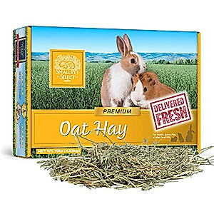 Small Pet Select Oat Hay Pet Food, 10 Lb.