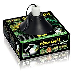 Exo Terra Glow Light Porcelain Clamp Lamp, 10-Inch Long