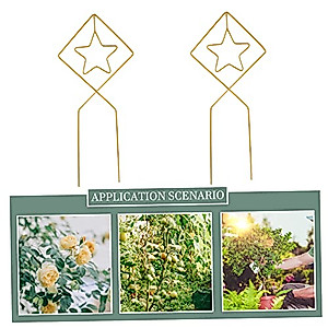 YARNOW 2pcs Flower Stand Rose Vines Plants for Outside Gold Stand Plant Climbing Frame House Plants Indoors Live Garden Metal Trellis Golden Metal Plant Climbing Supports Vine Trellis