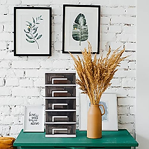 5 Drawer Plastic Storage, Small Plastic Storage Bins with Drawers, Desktop Storage Drawers Clear Drawers Storage Box for Home (31.4 * 21.1 * 15.2CM)