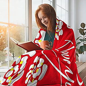 Sisters Gifts from Sister Blanket, Sister Birthday Gifts from Sister, Birthday Gifts for Sister, Best Sister Graduation Gifts for Sister from Brother, Sister Gifts, Throw Blanket 40X50 inches B