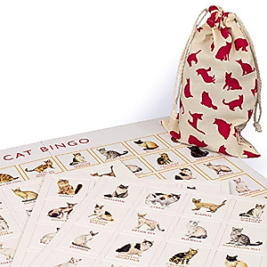 Laurence King Cat Bingo