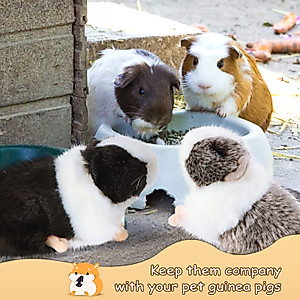 HyDren 4 Pieces 8 Inch Cute Guinea Pig Plush Toys Stuffed Realistic Stuffed Animals Soft Guinea Pig Doll Toys Decor for Boys Girl Themed Party Supplies