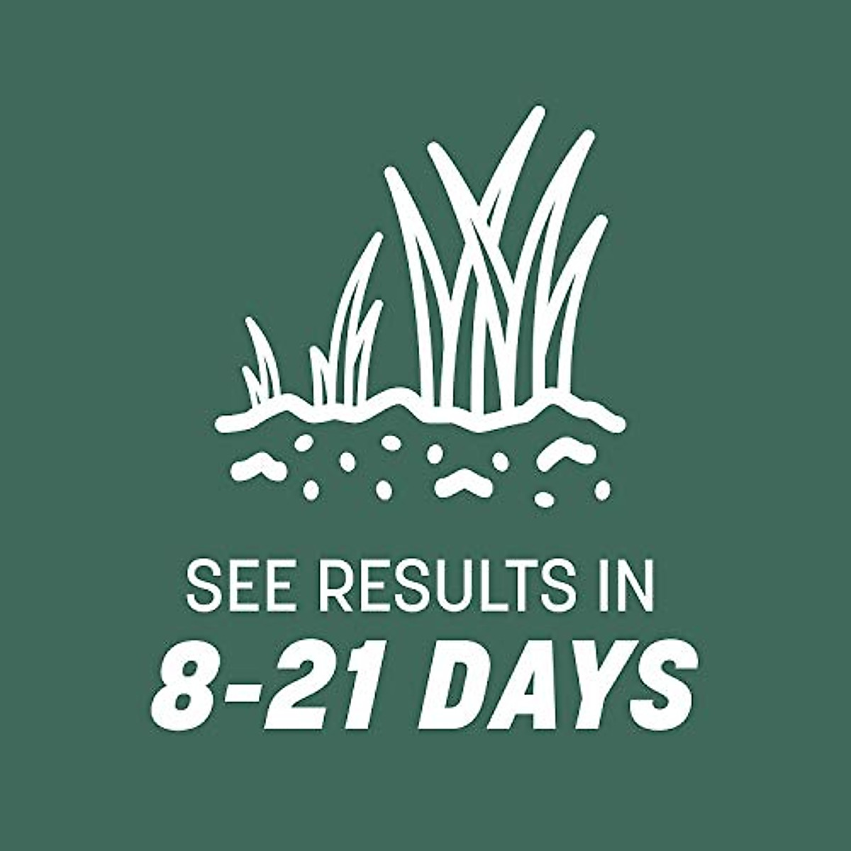 Pennington Kentucky 31 Tall Fescue Penkoted Grass Seed 7 lb