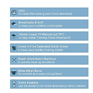 Kanga Care Ecoposh OBV Reusable Pull Up Toddler Underwear Potty Training Pants | Boysenberry Medium 2T/3T