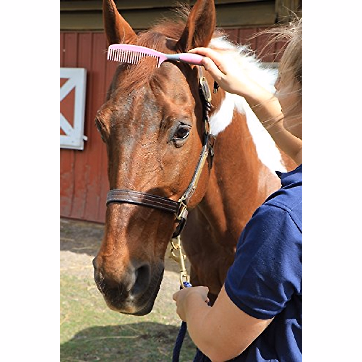 Oster 827570 Equine Care Series Mane & Tail Comb Pink