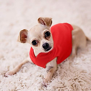 Dog Fleece Vest 4 Pieces Dog Cold Weather Pullover Dog Cozy Jacket Winter Dog Clothes Pet Sweater Vest with Leash Ring for Small Dogs