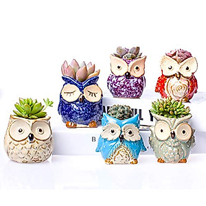 Claywa Ceramic Owl Succulent Pots Cute Animal Plant Planters 2.75" to 3.35" with Drainage Pack of 6 Plants Not Included