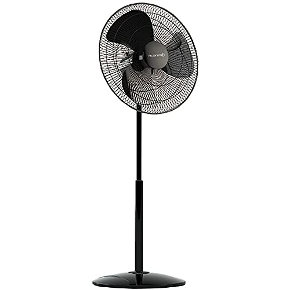 Westerly Oscillating Pedestal Fan, Adjustable Height, 3 Speeds, for Bedroom, Living Room, Home Office and College Dorm Room, 18", Black (2)