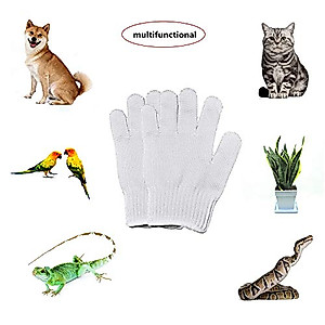 alfyng Bird Training Anti-Bite Gloves, Parrot Chewing Safety Protective Gloves, Small Animal Handling Gloves for Parrotlets Cockatiels Finch Macaw (1 Pair White)