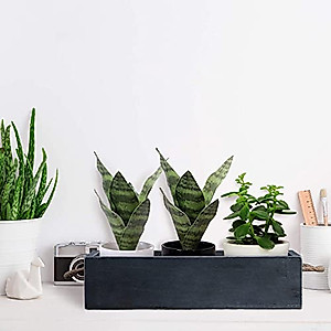 Unistyle Toilet Tray Toilet Tank Box Wood Tissue Holder Box Toilet Paper Tank Storage Basket Decorative Storage Box for Countertop Bathroom Box for Toilet Basket for Toilet Paper Black