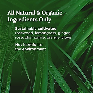 Magnificent 101 Long-Lasting 7 Chakras Oils Aromatherapy Smudge Candle | 6 Oz - 35-Hour Burn | 100% Soy Wax, Herbs & Essential Oils | Ideal for Meditation, Healing, Energy Cleansing & Manifestation