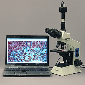 AmScope T580B 2000X Professional Research Biological Compound Microscope