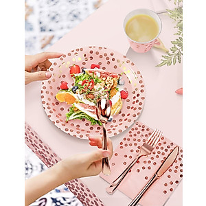 Nkaiso 141 Pieces Pink and Rose Gold Party Supplies, Party Dinnerware Sets Include Paper Plates Napkins Cups Silverware, for Wedding Bridal Shower Engagement Birthday Parties Decoration -20 Serves
