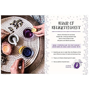 The Science Spell Book: 30 Enchanting Experiments for Kids