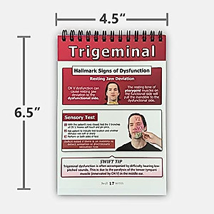 Cranial Nerves Anatomy, Testing, and Assessment - A Neurology and Medical Reference for the Clinical Professional