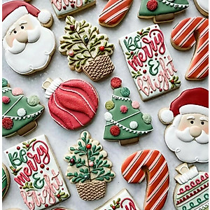 Q-BAKER Christmas Ornaments Cookie Cutters, 4PCS Stainless Steel Snow Globe,Round Ornament,Teardrop Bauble, Finial Shapes with Decorating Instructions